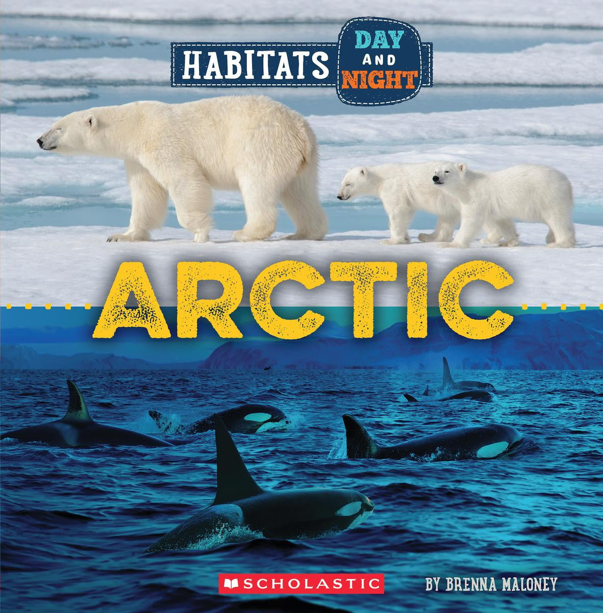Arctic (Wild World: Habitats Day and Night) – Sonsuh Educational ...