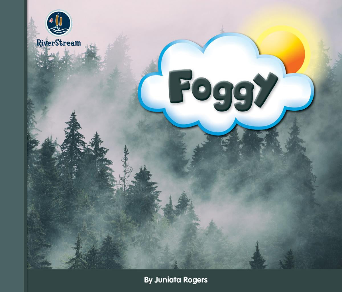Eye on the Sky: Foggy – Sonsuh Educational Supplies Inc.