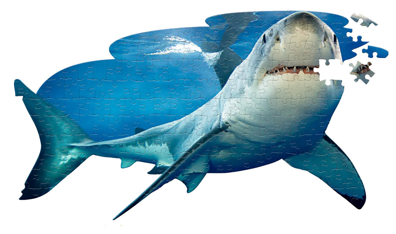 I AM Lil' Shark (100 pieces) – Sonsuh Educational Supplies Inc.