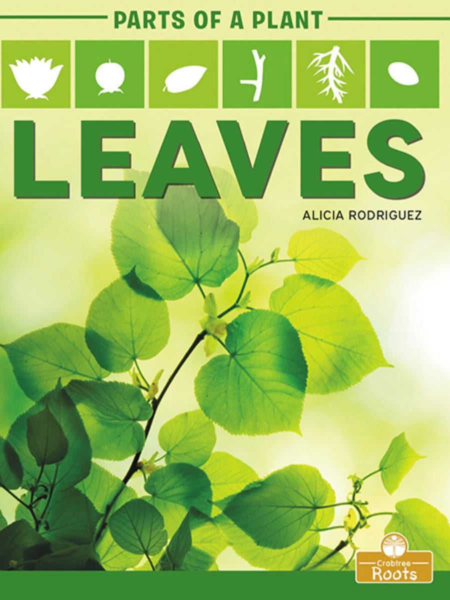 Parts of a Plant: Leaves – Sonsuh Educational Supplies Inc.