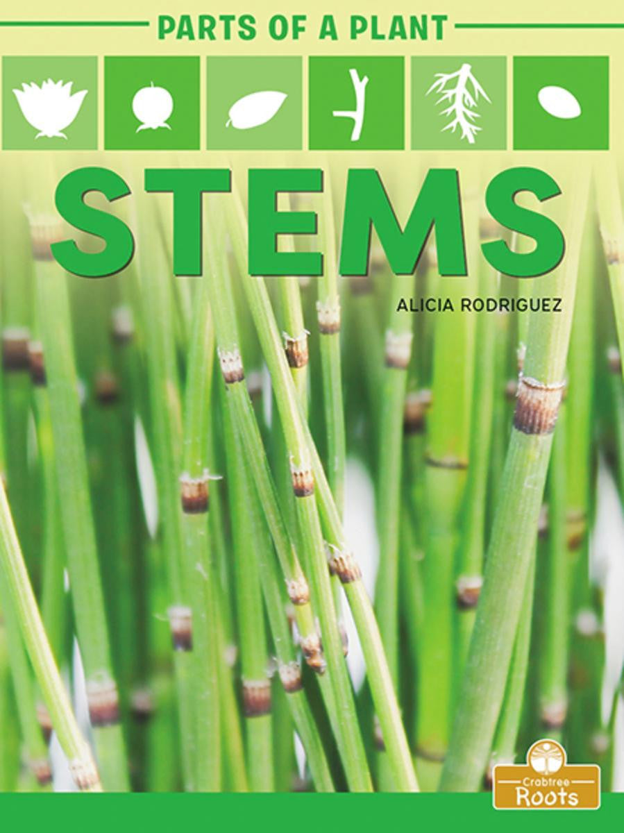 Parts of a Plant: Stems – Sonsuh Educational Supplies Inc.